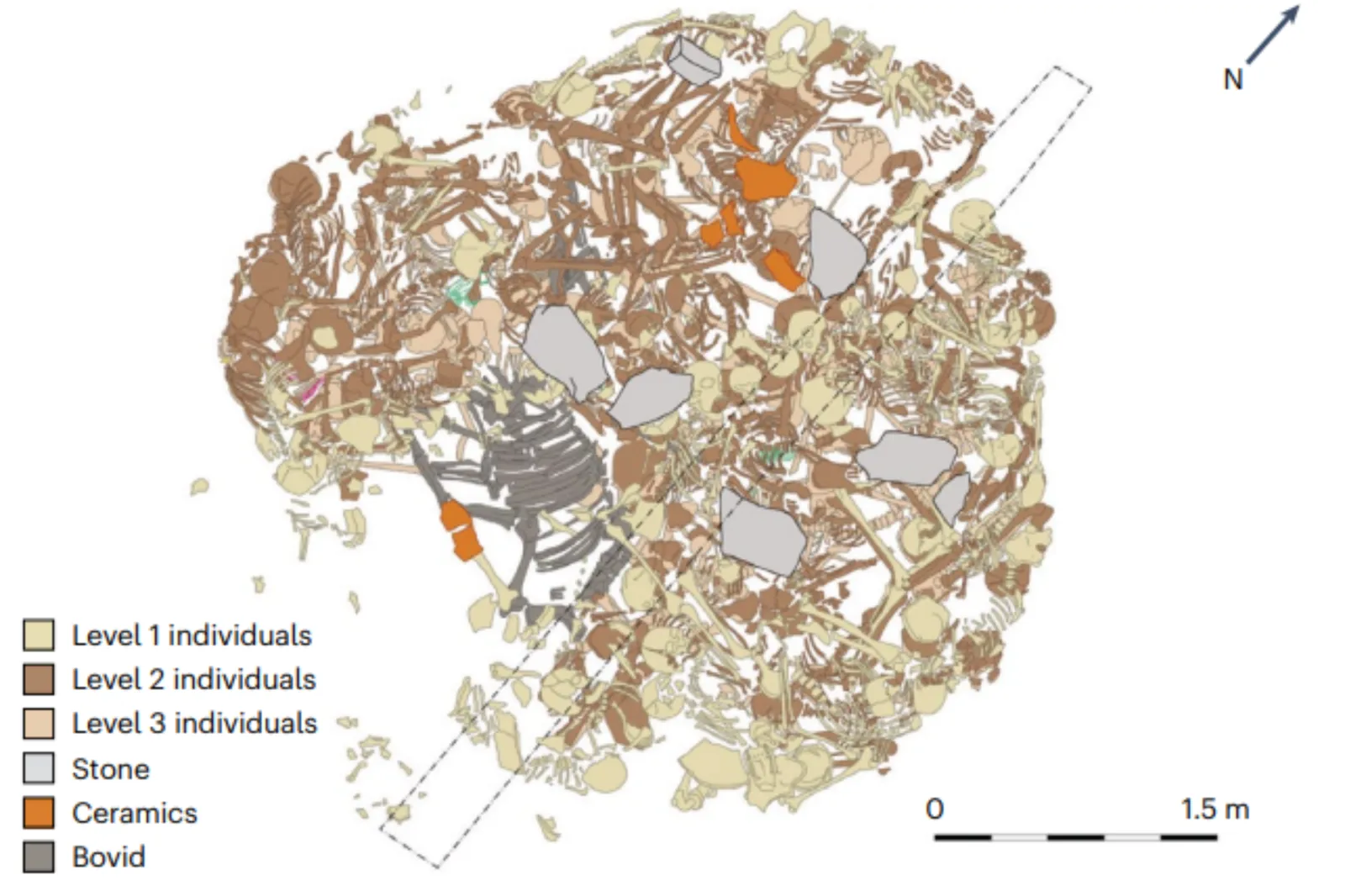 Archaeologists Discover 2,800-Year-Old Mass Grave of Women and Children ...
