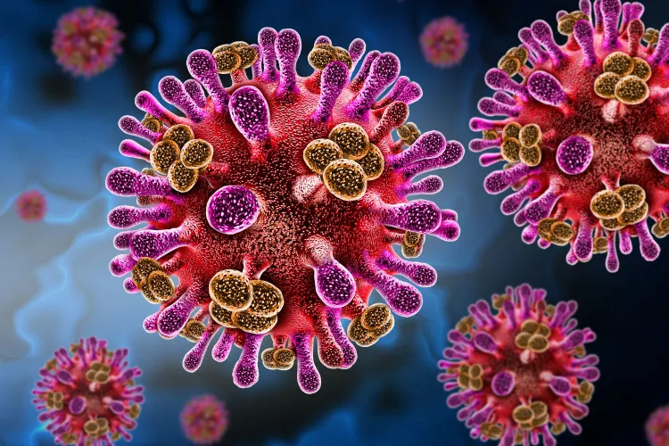 Nipah Virus Outbreak: Global Virus Network Issues Statement - Newsweek