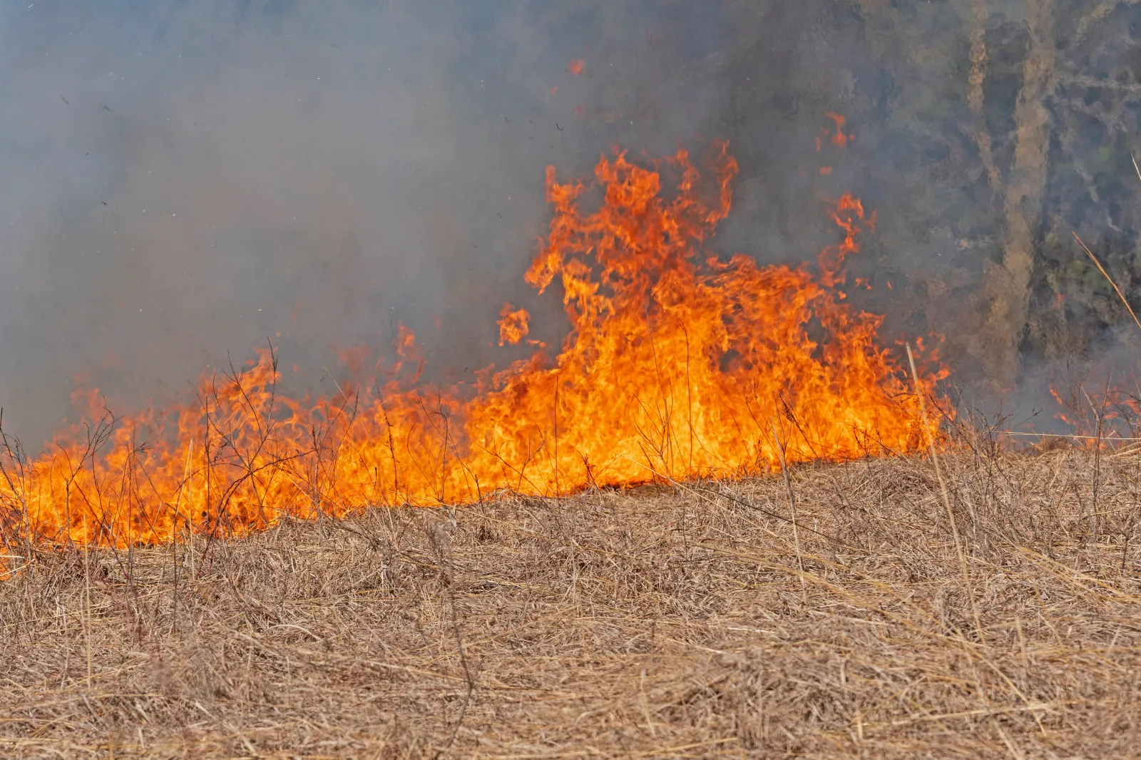 Map Shows Fire Weather Watch Alerts Issued Across Chicago - Newsweek