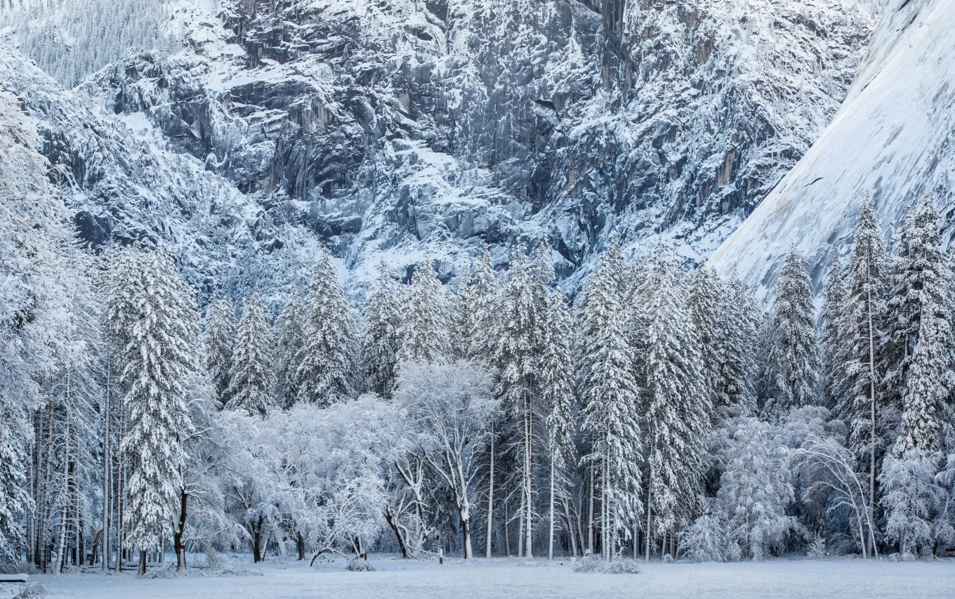 Yosemite National Park Forecast, Warnings As Closures Ordered - Newsweek