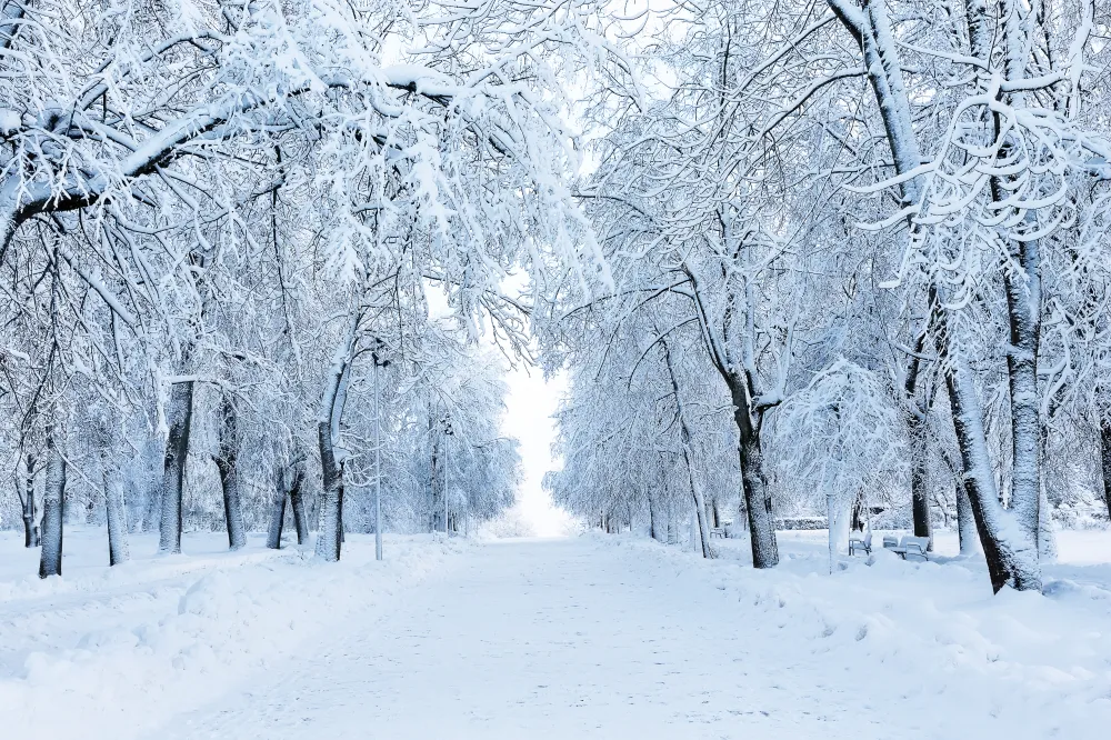 Heavy Snow and ‘Brutal Cold’ To Return to Eastern US: ‘Limit Time ...