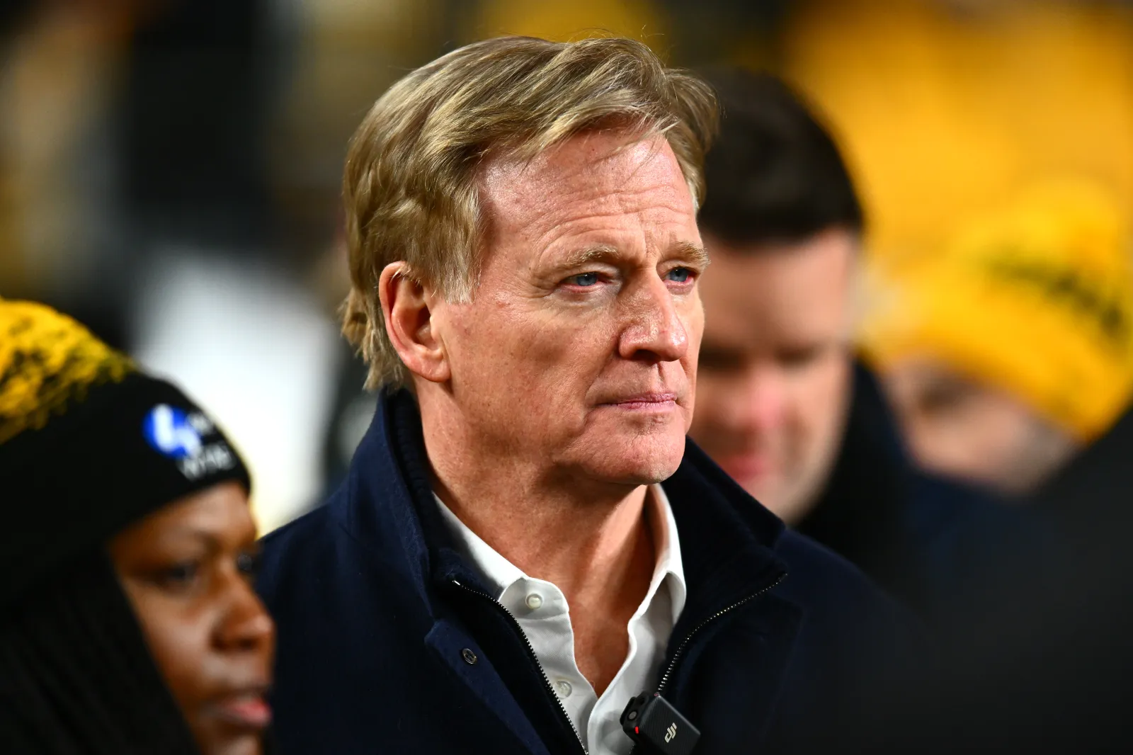 Roger Goodell Faces Backlash Over Comments on NFL Officials - Newsweek