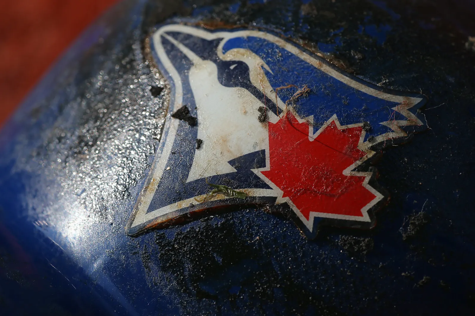 Blue Jays 26-Year-Old Outfielder Projected to Miss Opening Day Roster ...