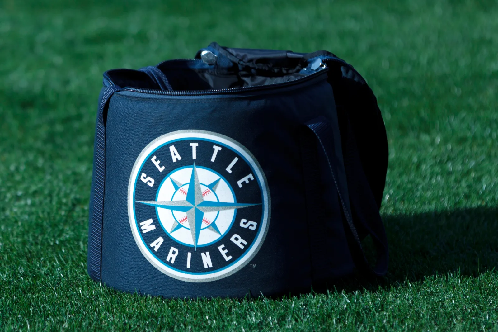 Mariners Announce Signing of 6-Year MLB Veteran Outfielder - Newsweek