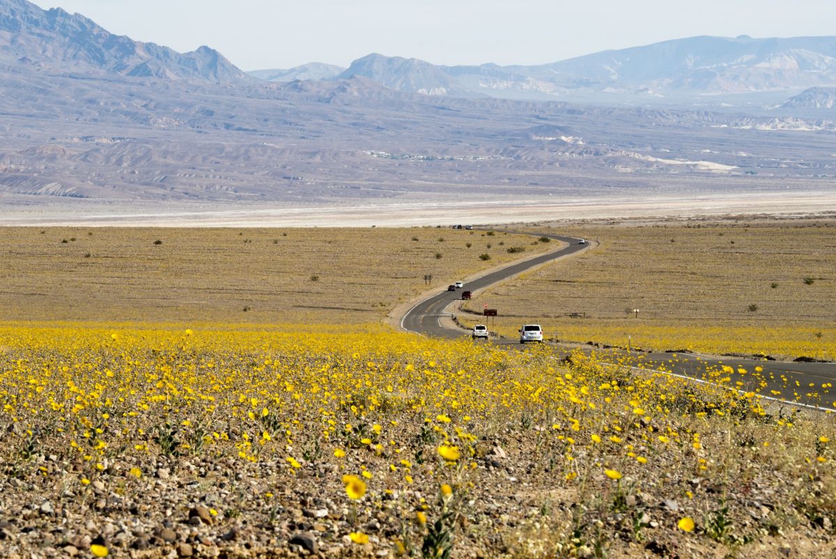 Rare phenomenon to hit the hottest place in America - Newsweek