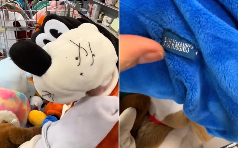 Man Thrifts Disney Plush, Word On Label Sparks Realization He Hit ...