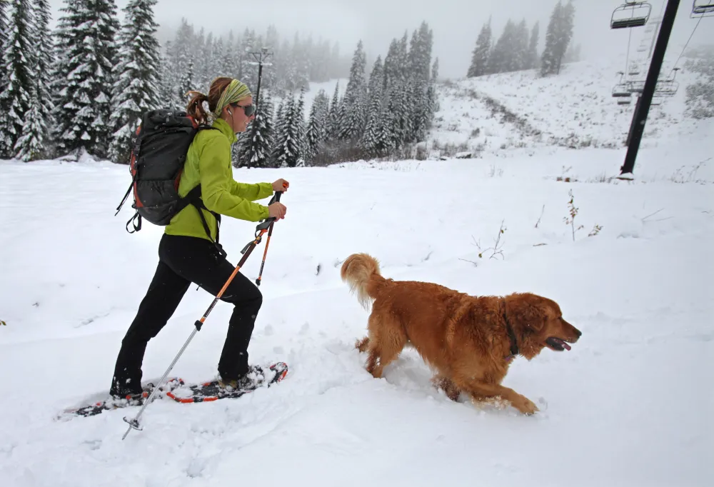Heavy Snow Warning As 12 Inches To Hit—‘Prepare For Power Outages ...