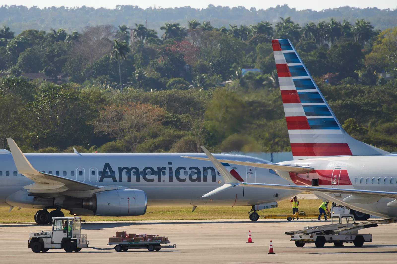 Woman Books Flight—Shock at What She Finds Instead: ‘Wasn’t Clicking ...