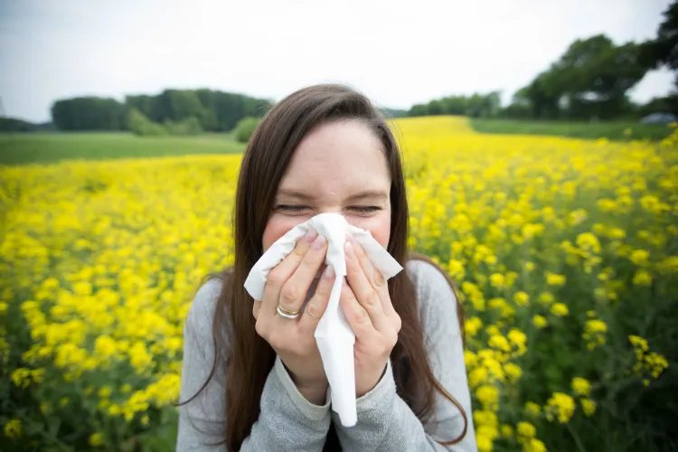 Map Reveals Top 20 Worst Areas For Pollen Allergies In 2026 - Newsweek