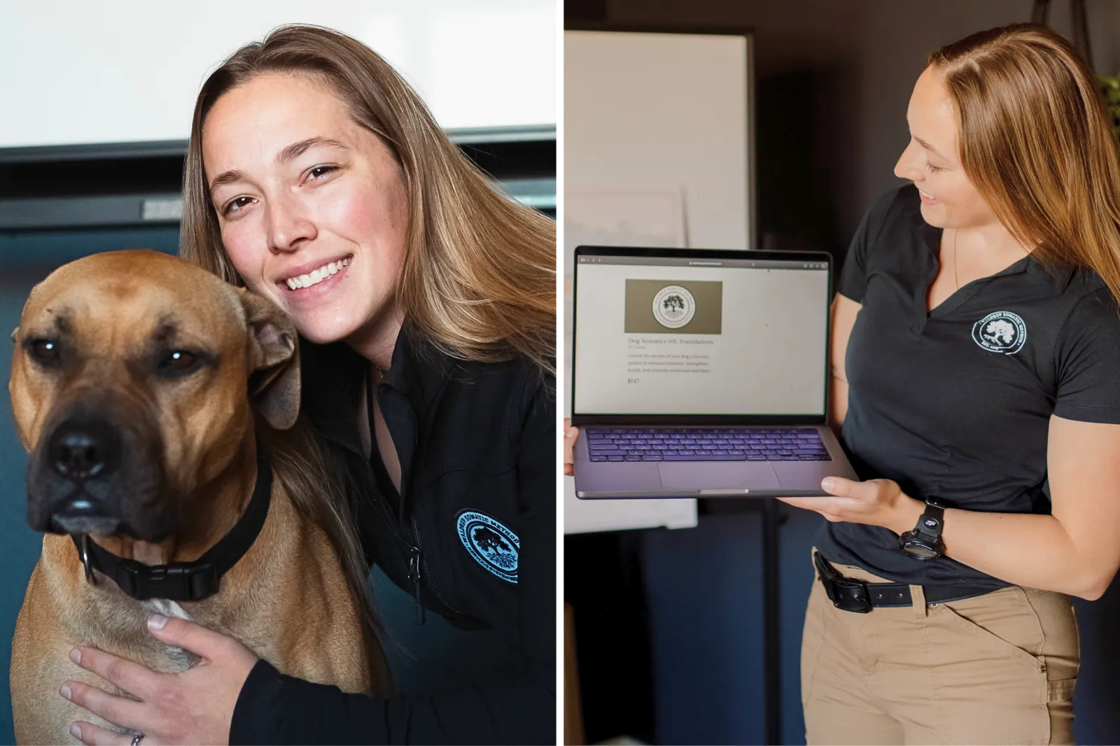 Do You Have an Anxious Dog? New Training Technique Could Change ...