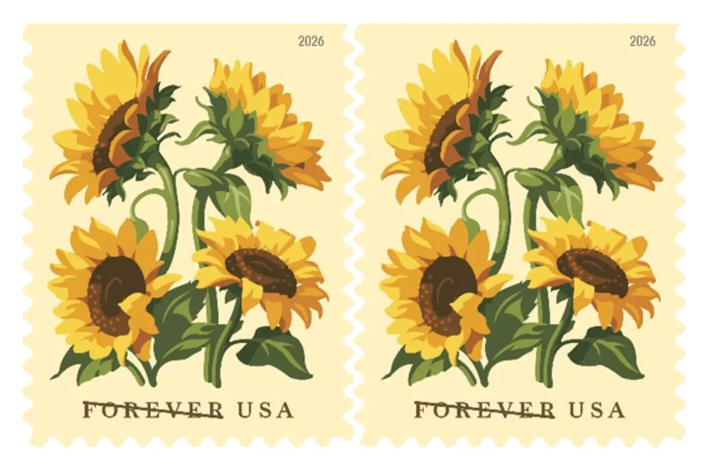 USPS Introduces New Sunflowers Forever Stamp - Newsweek