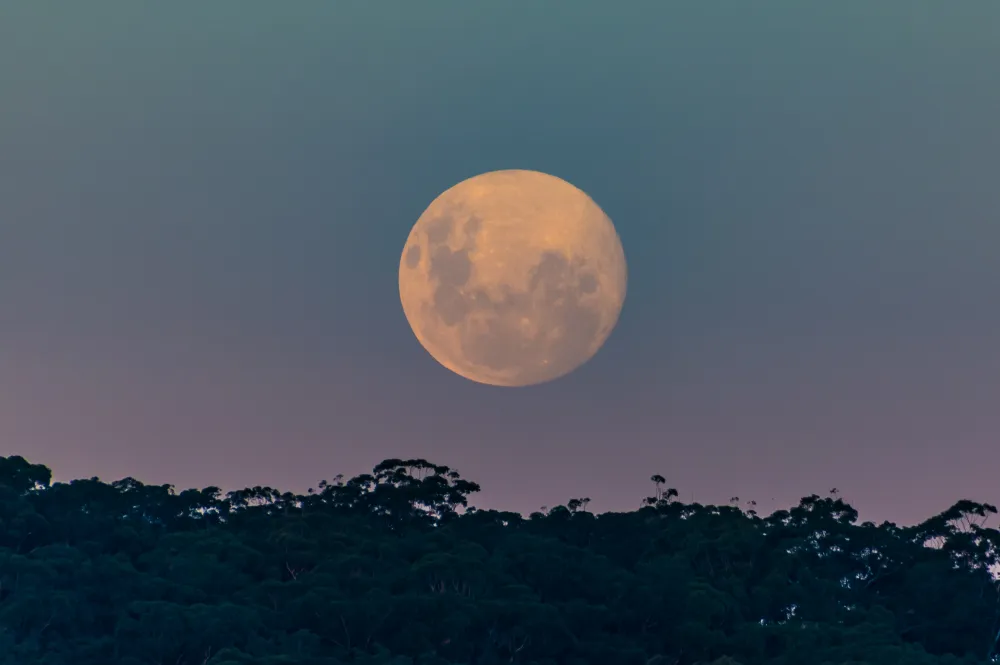 Pink Moon 2026: When To See April’s Full Moon and What It Means - Newsweek