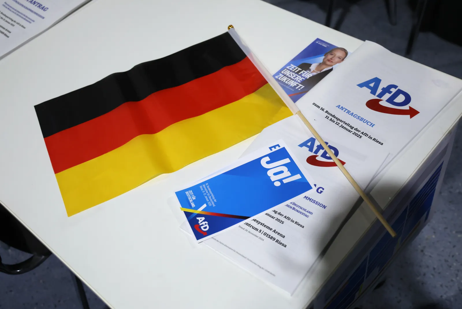 AfD scores major election success in Germany - Newsweek