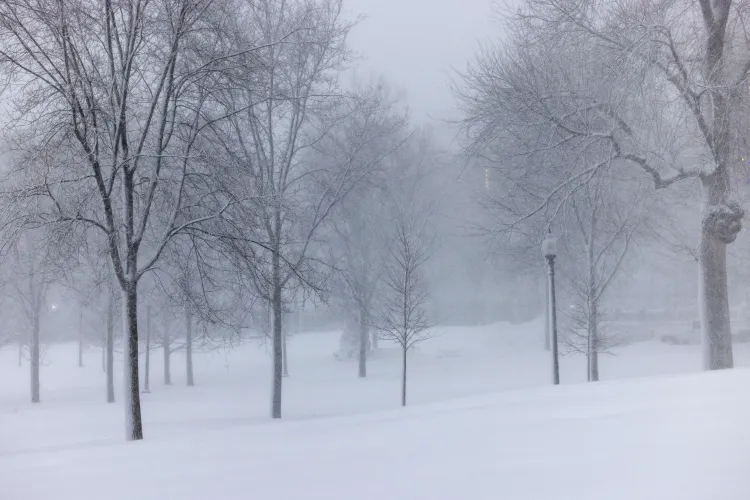 Winter Weather Warning for 5 States as Snow, Ice May Hit - Newsweek