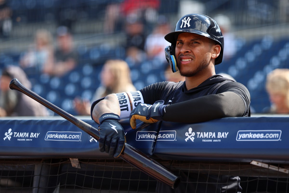 Yankees Cut Ties With Jorbit Vivas Just Before Opening Day: Report ...