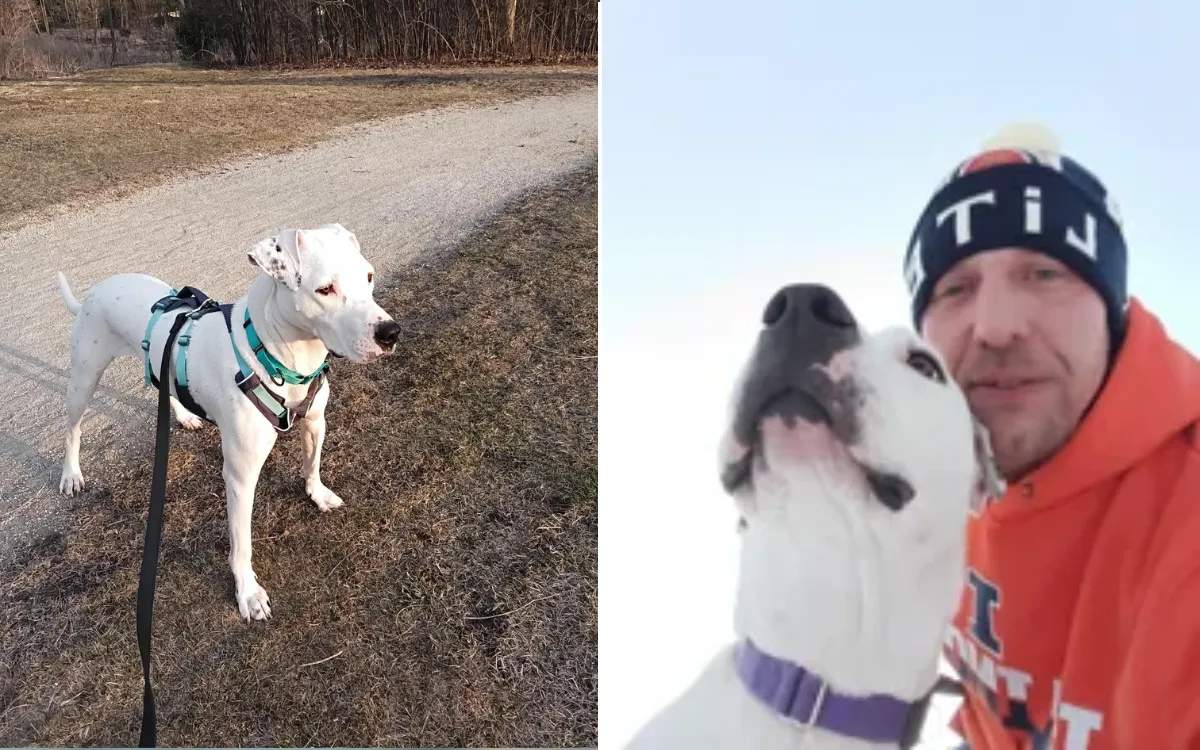 Man Sees Photo of Returned Dog ‘Trying To Escape’ Shelter—Knows What To ...