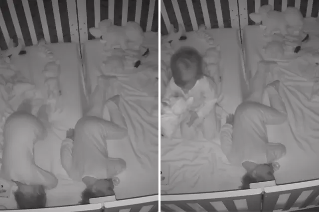 Baby Monitor Captures Twin’s First Instinct When Waking in Crib With ...