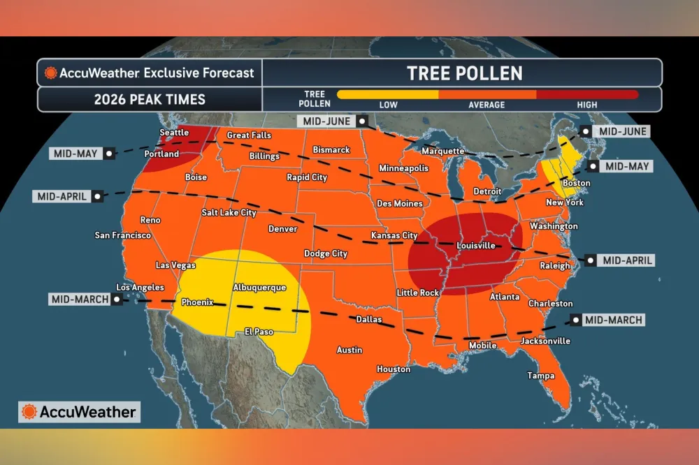 Allergy Warning Issued As States Face 'Longer and More Intense' Seasons ...