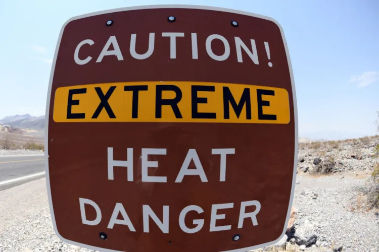 Millions Face Record-Breaking Heat Wave: ‘No Relief Expected’ - Newsweek