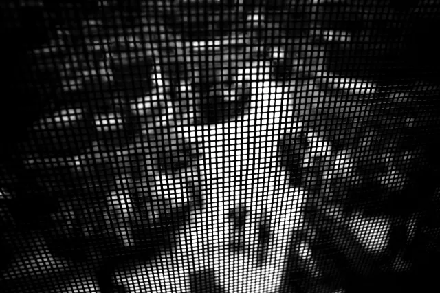 AI Impact: Is AI Making Effort Irrelevant? - Newsweek