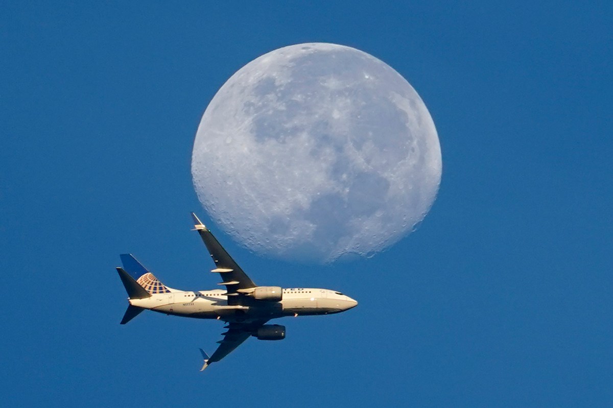 Full List of Airlines Canceling Flights Amid Jet Fuel Shortages - Newsweek