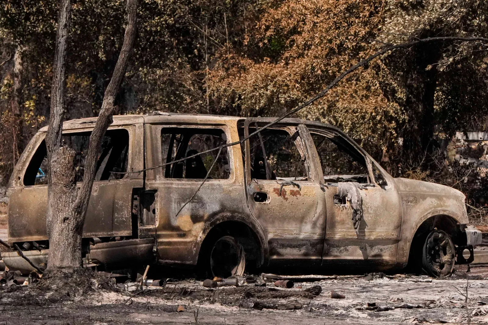 Georgia Wildfire Update: 90 Homes Destroyed As Blaze Escalates - Newsweek