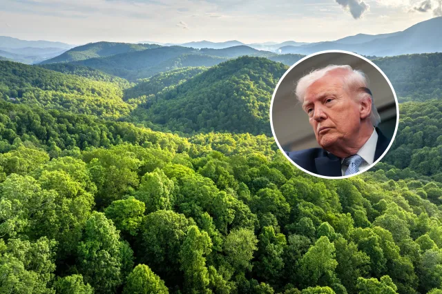 Map shows US Forest Service facilities closing after Trump admin move ...