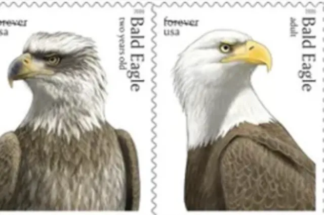 USPS Unveils New Stamps: What To Know - Newsweek