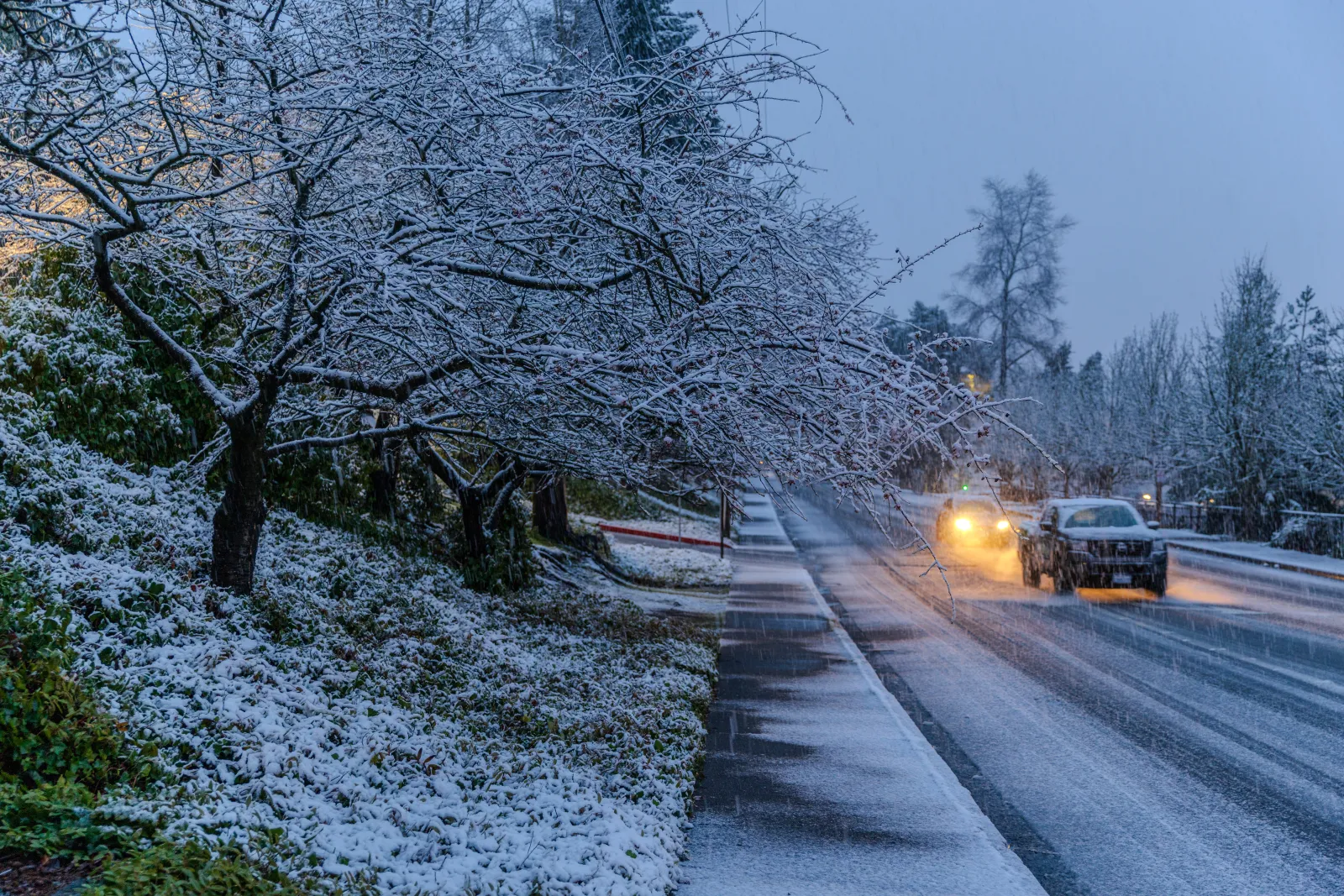 Winter Storm Warning As 20 Inches of Snow To Hit—’Consider Delaying ...