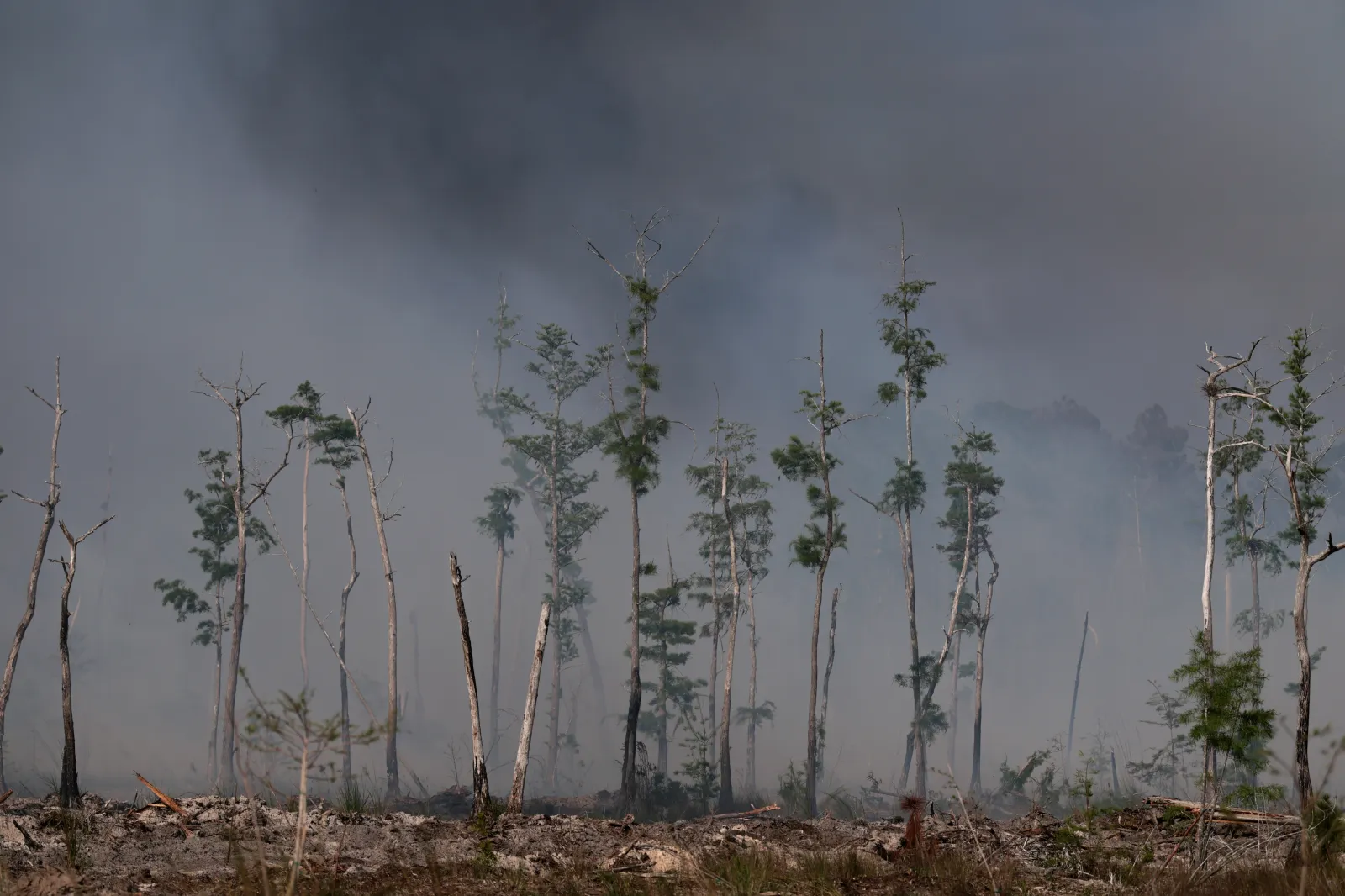 Florida Wildfire Map as Warnings Issued: ‘Dangerous’ - Newsweek