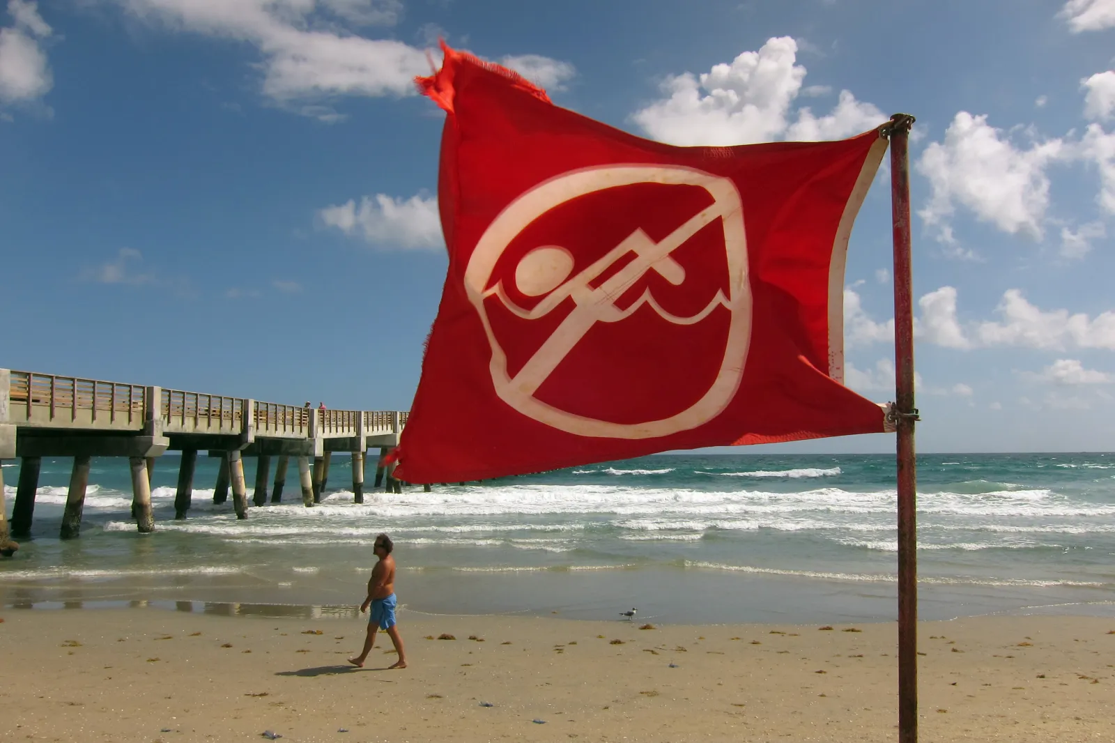 Warning Issued to Millions Vacationing in Florida - Newsweek