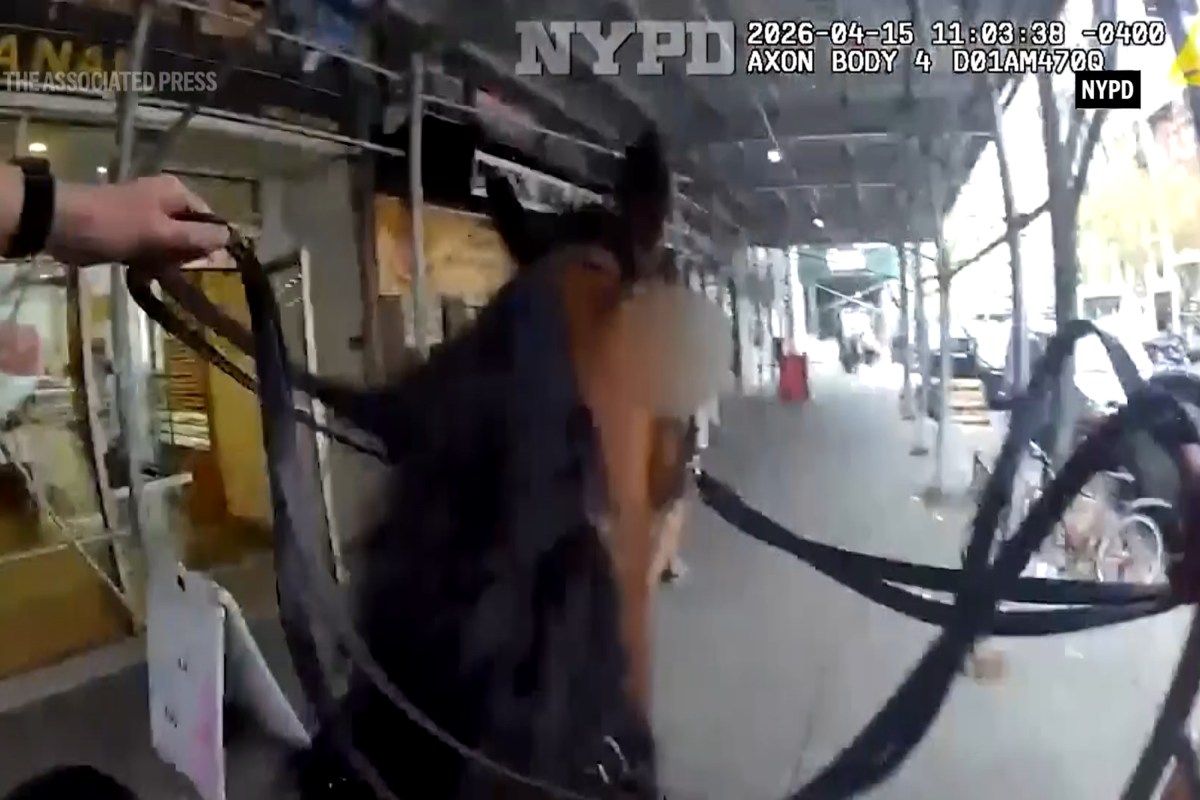 NYPD horse chase of alleged thief on parole for murder sparks fury ...