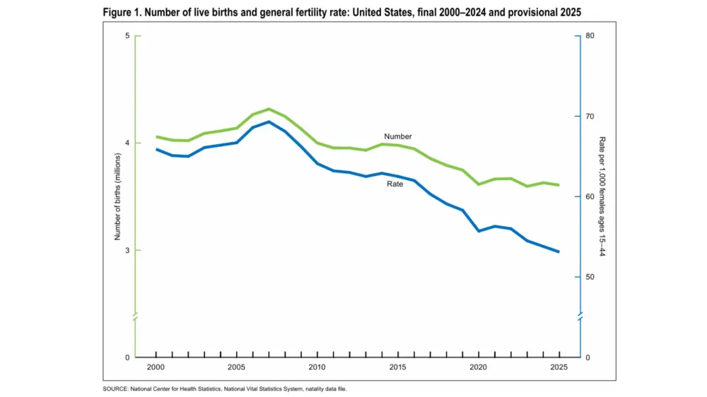 US birth rates declining among Gen Z mothers - Newsweek