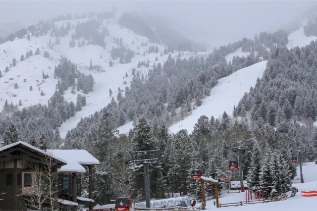 Heavy Snow Warning—up to 16 Inches To Hit Five States: ‘Hazardous ...
