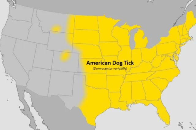 Map Shows Where Ticks Are Spreading Across US as Bites Spark CDC ...