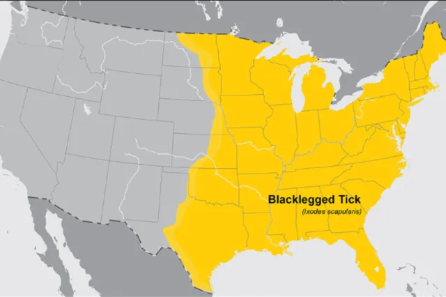 Map Shows Where Ticks Are Spreading Across US as Bites Spark CDC ...