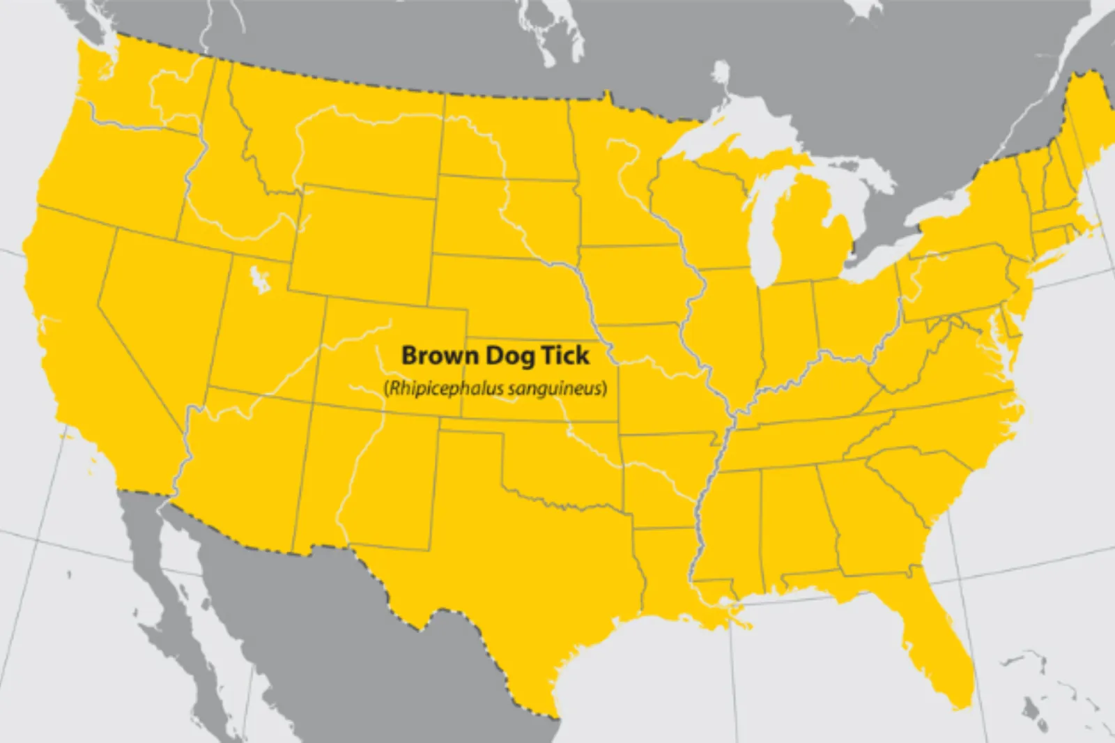 Map Shows Where Ticks Are Spreading Across US as Bites Spark CDC ...