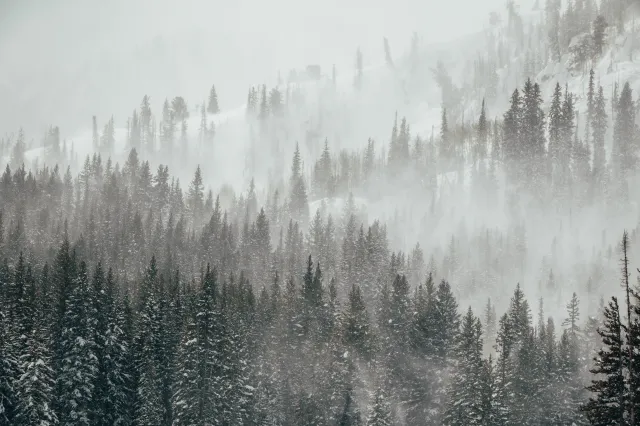 Utah Snow Warning as 4 Inches to Hit: ‘Atypical’ - Newsweek