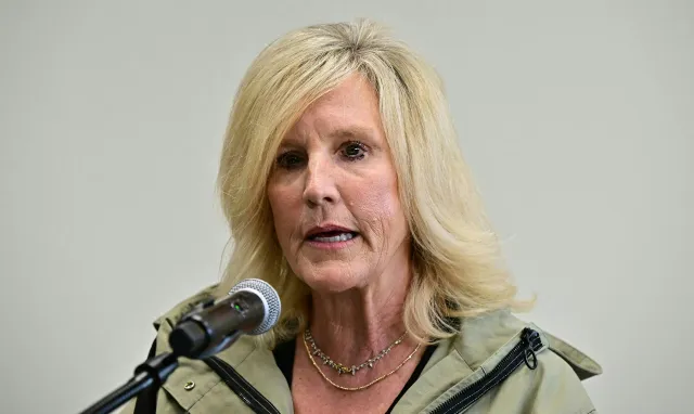 Erin Brockovich Asks Americans for Help as She Launches Data Center Map ...