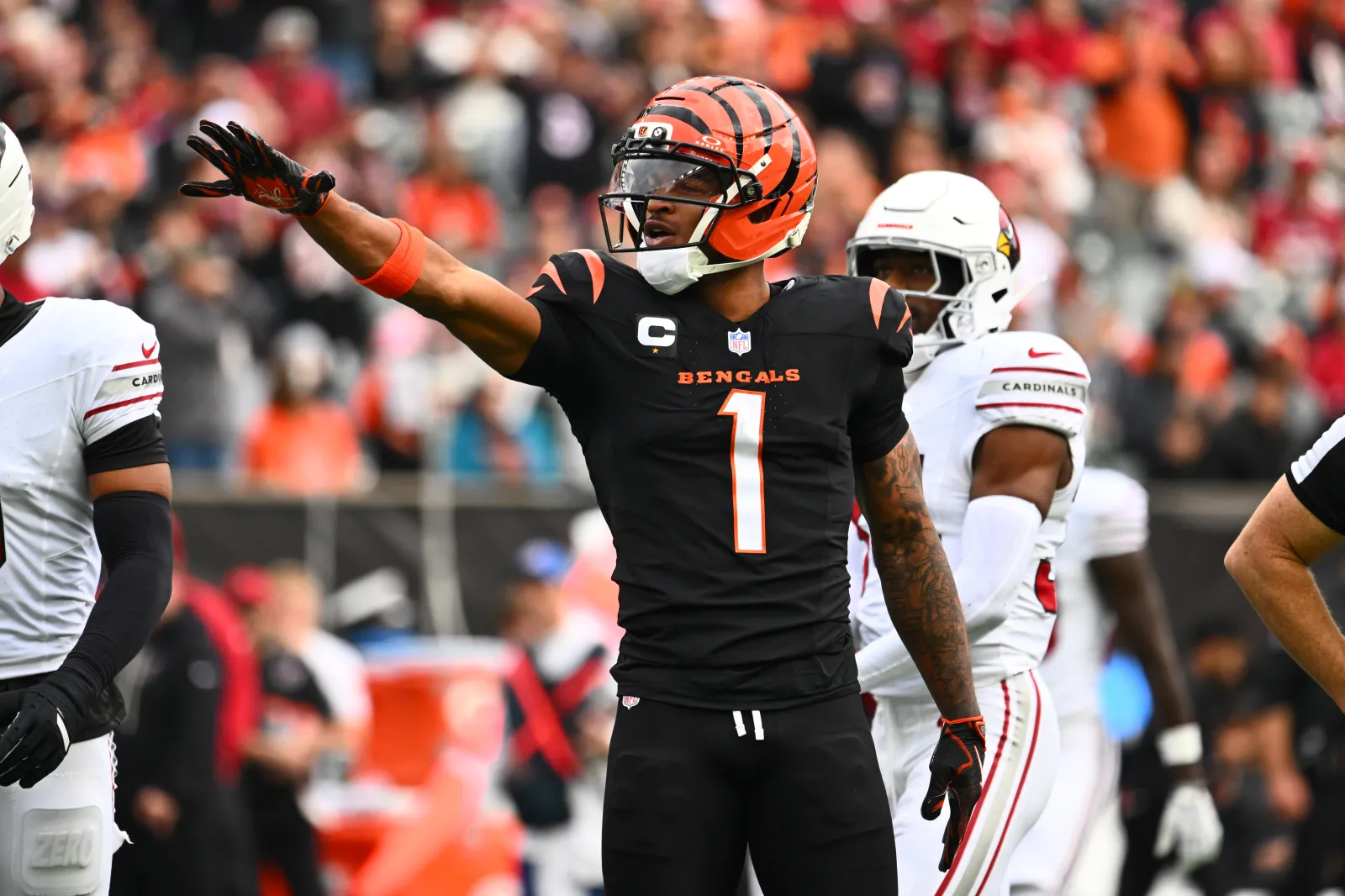 Cincinnati Bengals 2026 Training Camp Preview: All the Pieces Are in ...