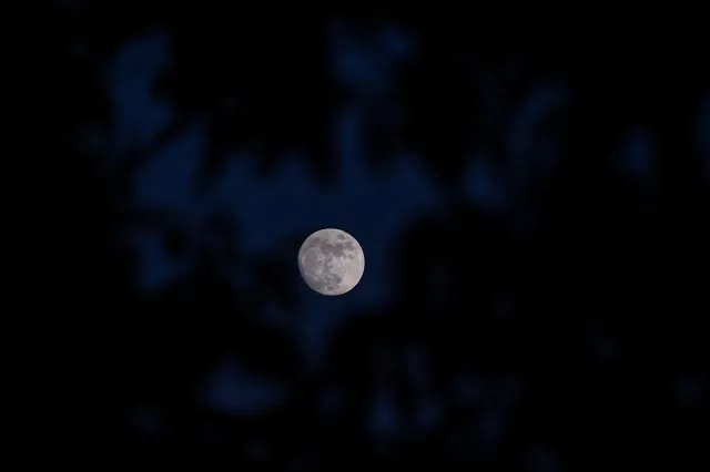 Blue Moon May 2026: Best Locations, Times to View Rare Micromoon - Newsweek