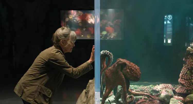 Sally Field on ‘Remarkably Bright Creatures’ and Why She Isn’t Done Yet ...
