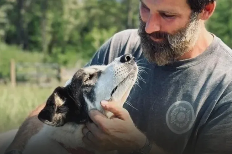 Lucy the Dog Drama Explained as Veteran Calls Out Threats Against ...