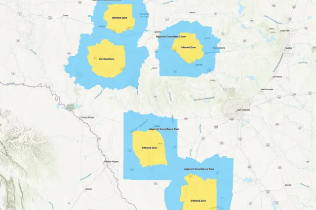 Screwworm Map Shows ‘Infested Zones’ in Texas as 12th Case Reported ...