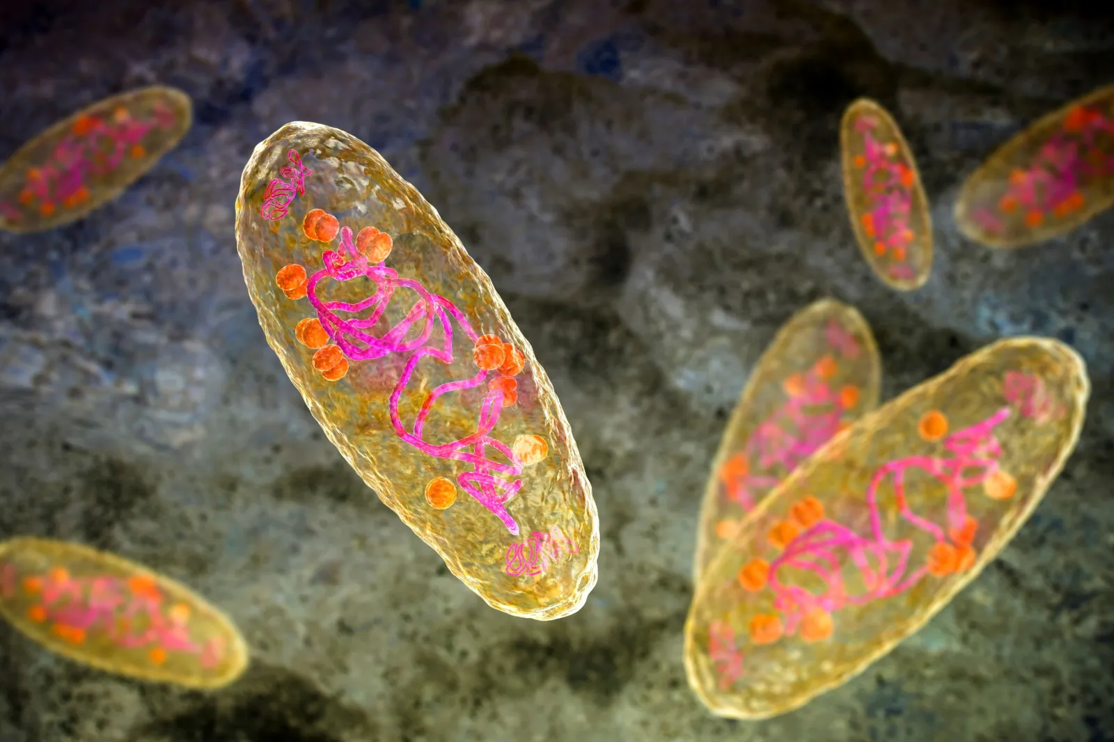 Plague Death Joins List of US Health Concerns–But What’s the public ...