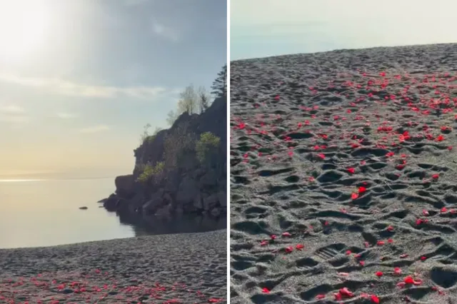 Photographer Left Horrified by What She Notices About Beach Proposal ...
