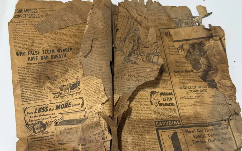 Couple Renovating Home Discover Mysterious ‘Skins’ in Attic—Then They ...