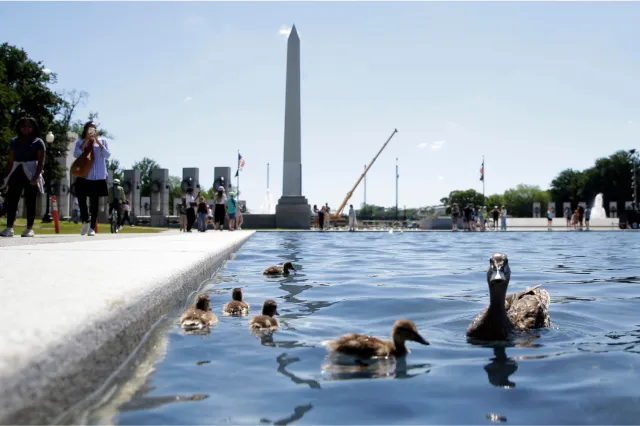‘Blue and Clear’—Reflecting Pool Appearance Shifts Again in New Images ...