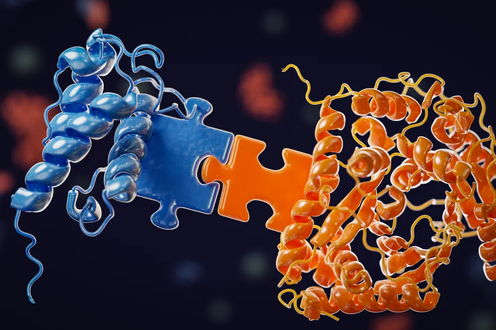 Scientists Discover How Bacteria Build Cancer-Fighting Drugs - Newsweek